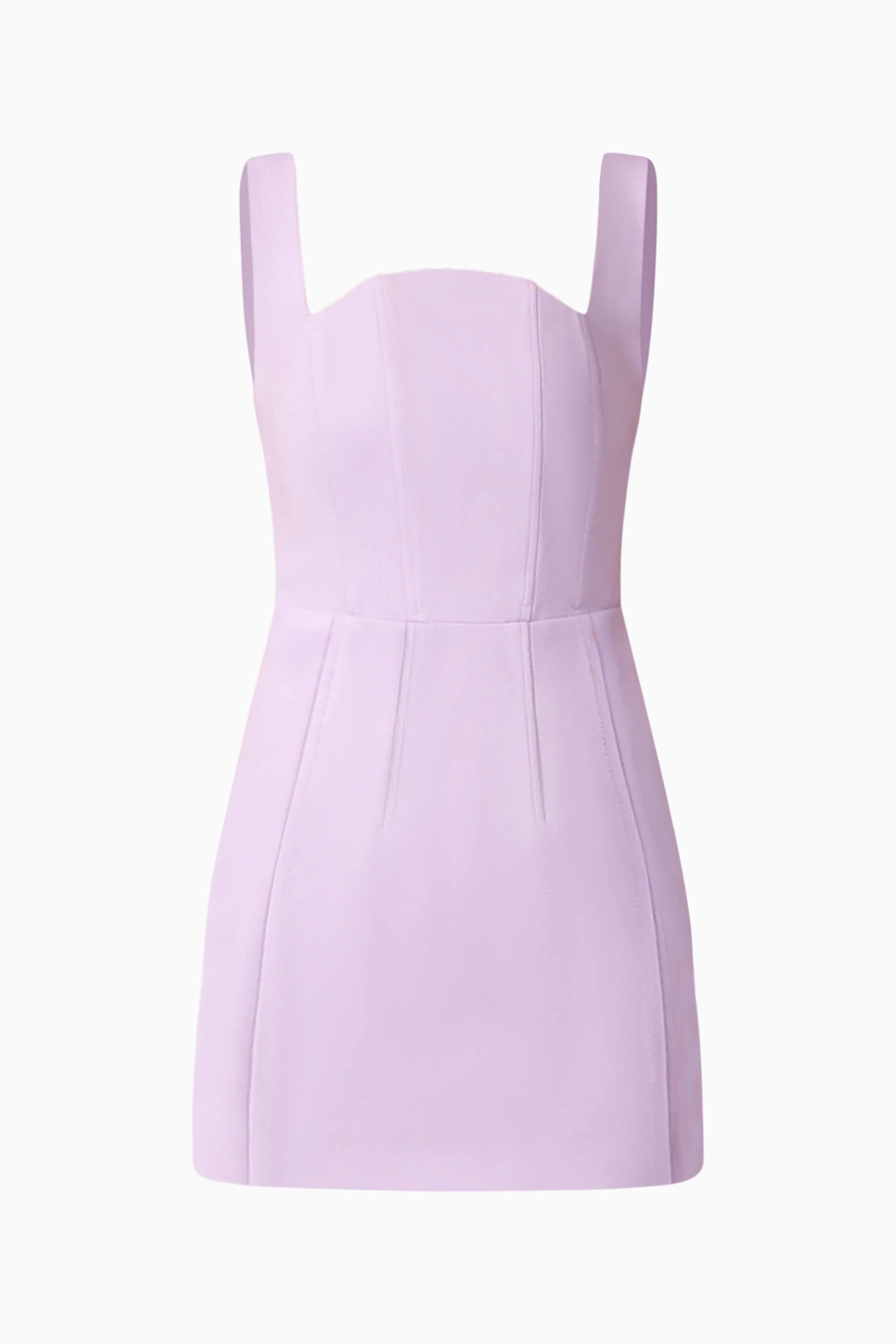 Alina Corset Mini Dress in Purple